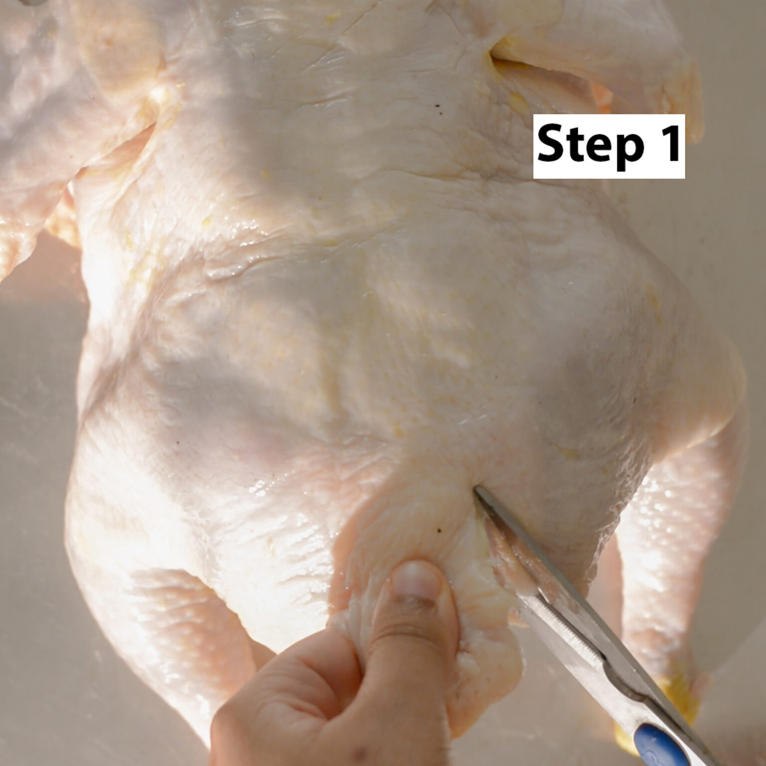 Spatchcocked & Whole Roasted Orange Maple Chicken - The Stush Kitchen